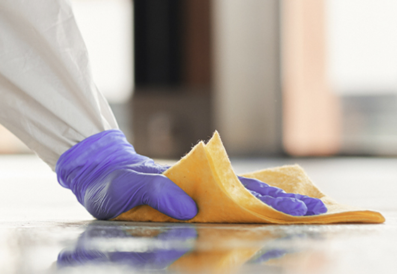 Clean Scene | Services